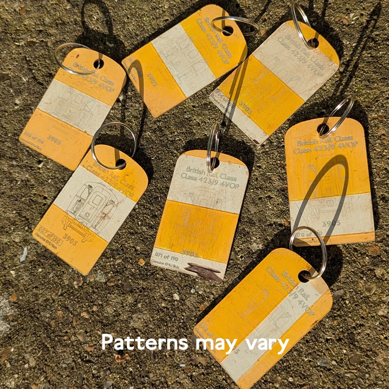 British Rail Class 423 905 4VOP in Connex Multicolour Tags | Rail Tags